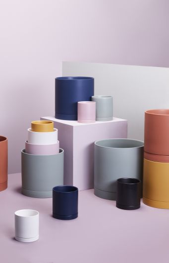 Romey Pot Sage – Angie's Planties